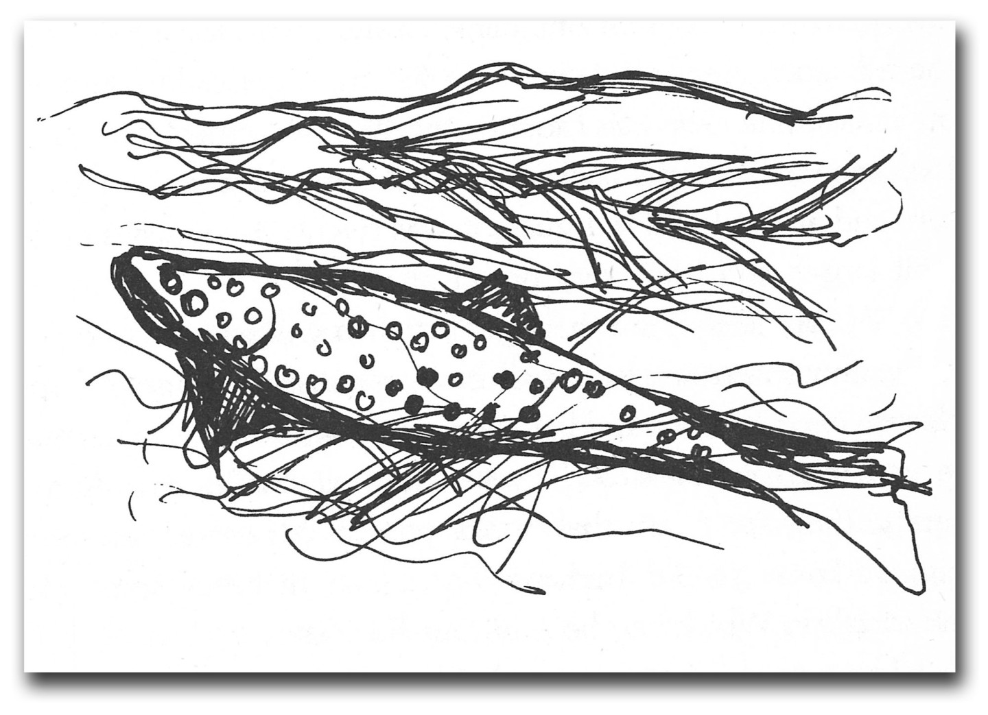 Mari Lyons - American Museum Of Fly Fishing