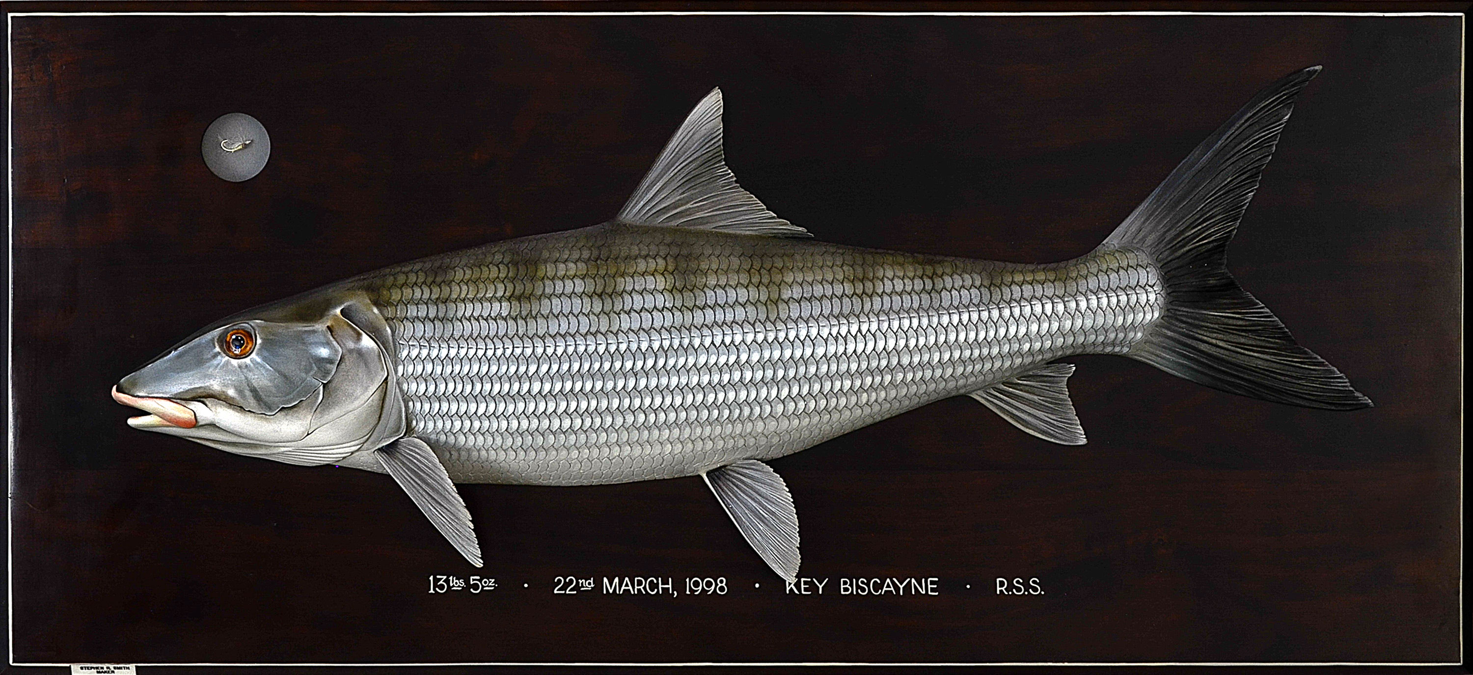 Commemorating the Catch: Fish Carvings by Stephen R. Smith - American ...