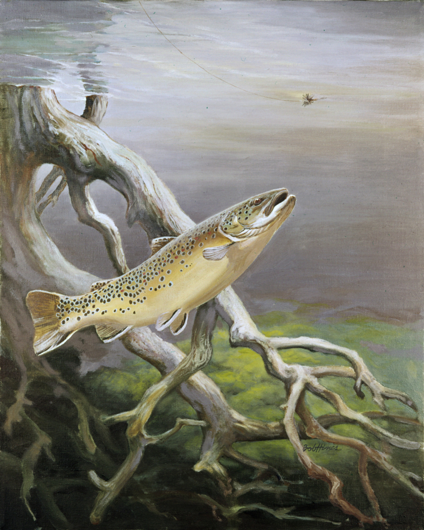 Bob Hines: National Wildlife Artist - American Museum Of Fly Fishing