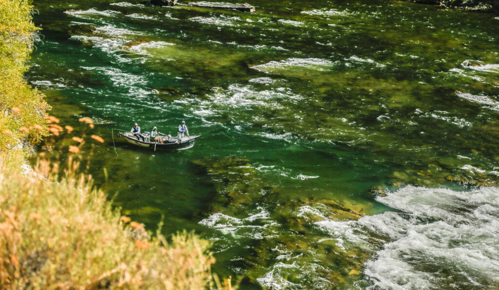 Fly Fishing Events-American Museum of Fly Fishing