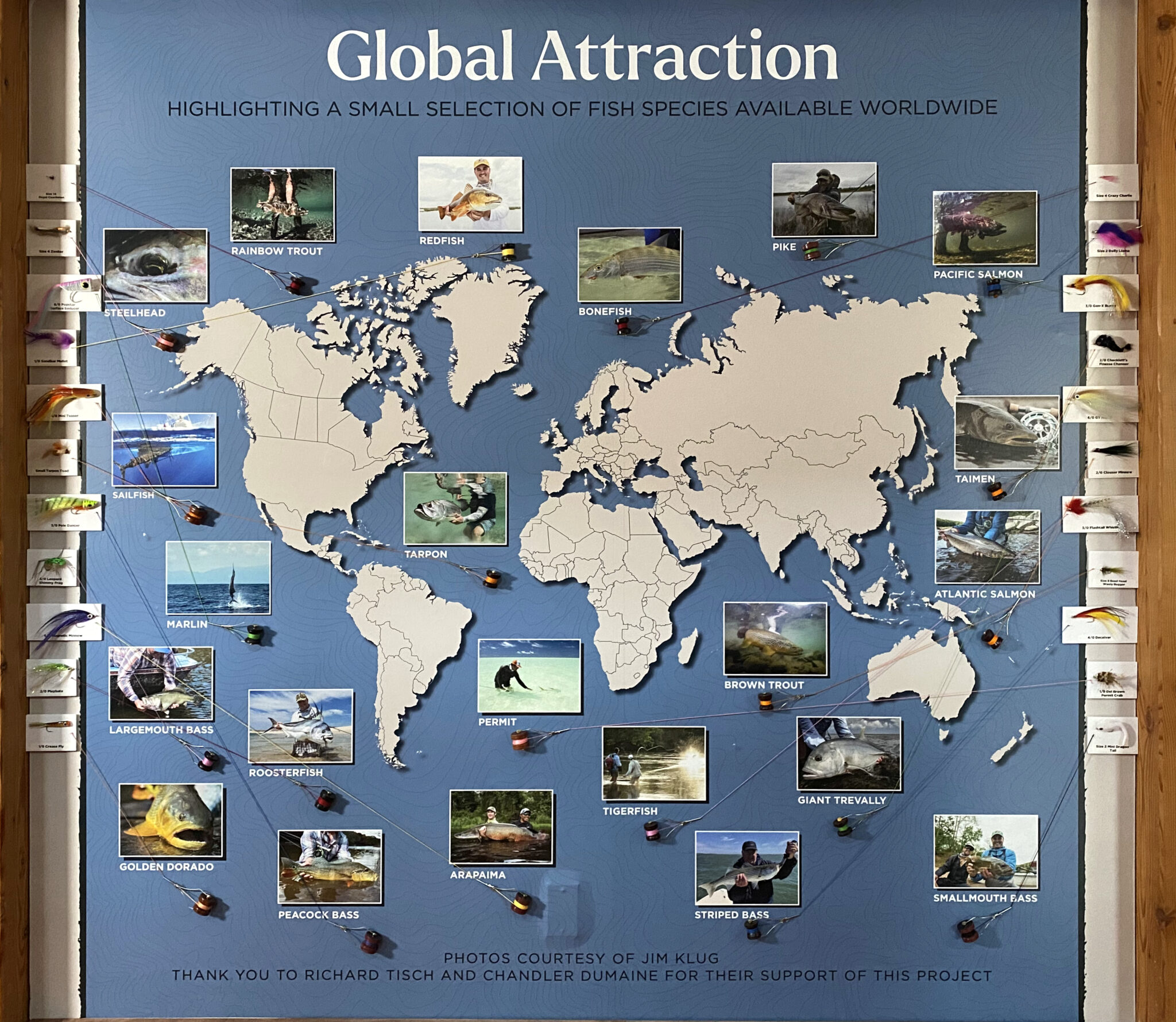 World Record Tarpon - American Museum Of Fly Fishing